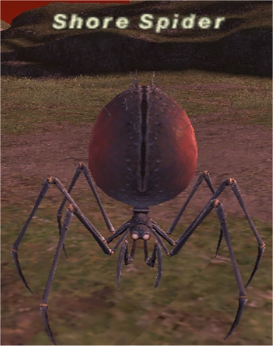 Shore Spider | FFXIclopedia | Fandom