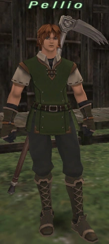 Pellio | FFXIclopedia | Fandom