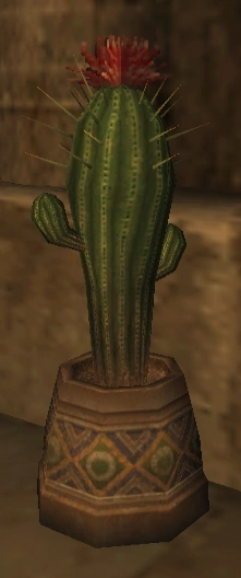 Amiga Cactus | FFXIclopedia | Fandom