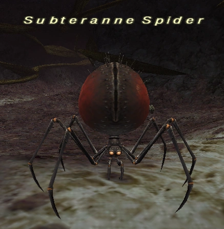 Subterrane Spider | FFXIclopedia | Fandom