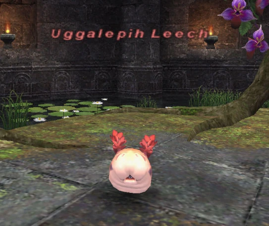 Uggalepih Leech | FFXIclopedia | Fandom
