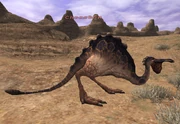 Chonchon | FFXIclopedia | Fandom
