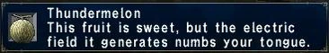 Thundermelon | FFXIclopedia | Fandom