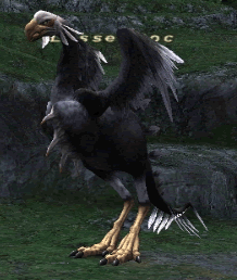 Lesser Roc | FFXIclopedia | Fandom