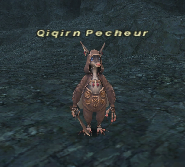 Qiqirn Pecheur | FFXIclopedia | Fandom