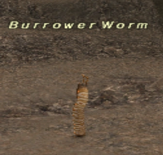 Burrower Worm | FFXIclopedia | Fandom