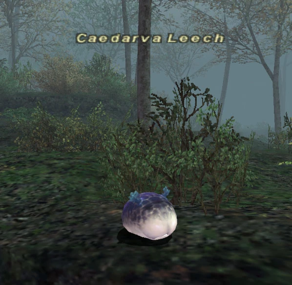 Caedarva Leech | FFXIclopedia | Fandom