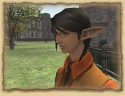 The Story Behind A.M.A.N. | FFXIclopedia | Fandom