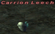 Carrion Leech | FFXIclopedia | Fandom