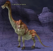 Catoblepas | FFXIclopedia | Fandom