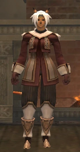 Wayfarer Robe Set | FFXIclopedia | Fandom