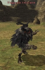 Yagudo Initiate | FFXIclopedia | Fandom