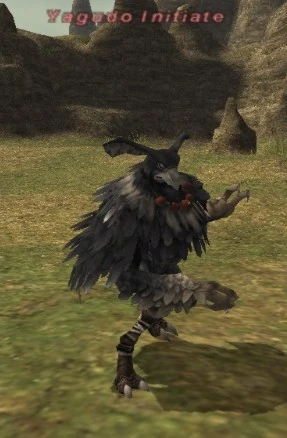 Yagudo Initiate | FFXIclopedia | Fandom