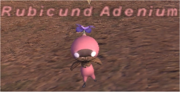 Rubicund Adenium | FFXIclopedia | Fandom