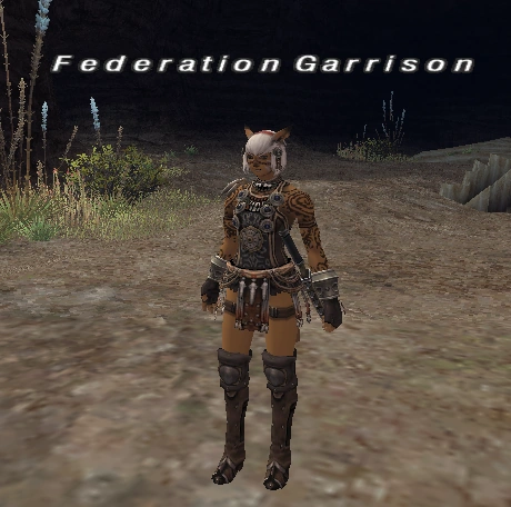 Federation Garrison | FFXIclopedia | Fandom