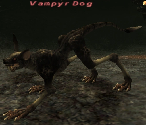 Vampyr Dog | FFXIclopedia | Fandom