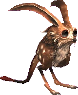 Locus Bight Rarab | FFXIclopedia | Fandom