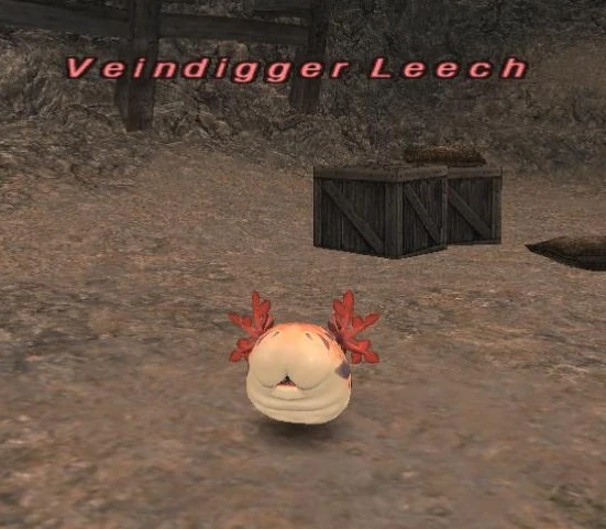 Veindigger Leech | FFXIclopedia | Fandom