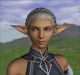 Character Creation/Elvaan Models | FFXIclopedia | Fandom