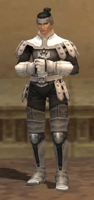 Strong Armor Set | FFXIclopedia | Fandom