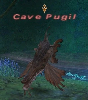 Cave Pugil | FFXIclopedia | Fandom