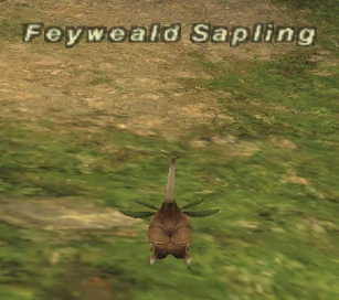 Feyweald Sapling | FFXIclopedia | Fandom
