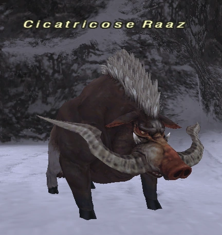 Cicatricose Raaz | FFXIclopedia | Fandom