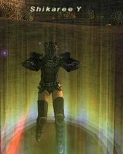 Shikaree Y | FFXIclopedia | Fandom