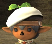 Sprout Beret | FFXIclopedia | Fandom