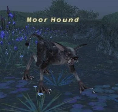 Moor Hound | FFXIclopedia | Fandom