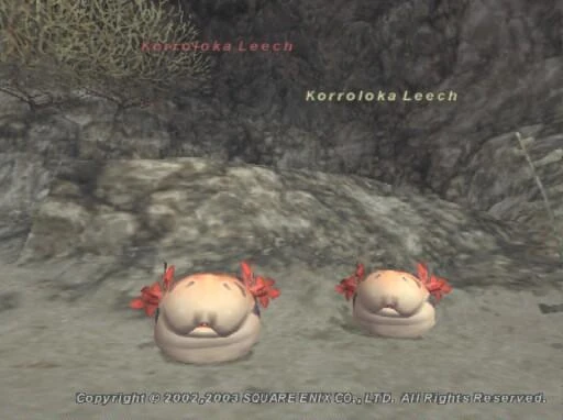 Korroloka Leech | FFXIclopedia | Fandom
