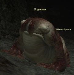 Ogama | FFXIclopedia | Fandom