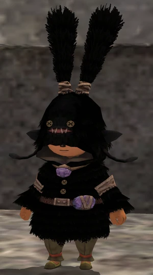 Purple Spriggan Coat | FFXIclopedia | Fandom