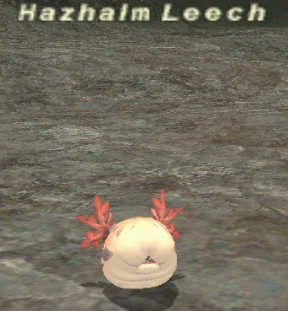 Hazhalm Leech | FFXIclopedia | Fandom