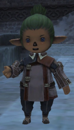 Topok-Hippok | FFXIclopedia | Fandom