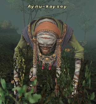 Aynu-kaysey | FFXIclopedia | Fandom