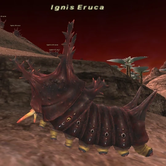 Ignis Eruca | FFXIclopedia | Fandom