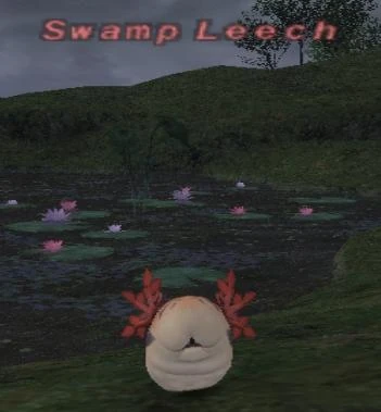 Swamp Leech | FFXIclopedia | Fandom