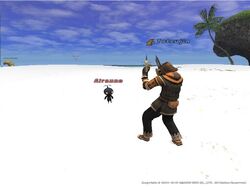 Guarding with Tetsu - A Puppetmaster's Guide | FFXIclopedia | Fandom