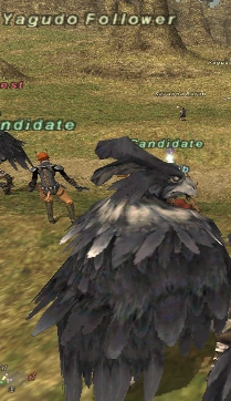 Yagudo Follower | FFXIclopedia | Fandom