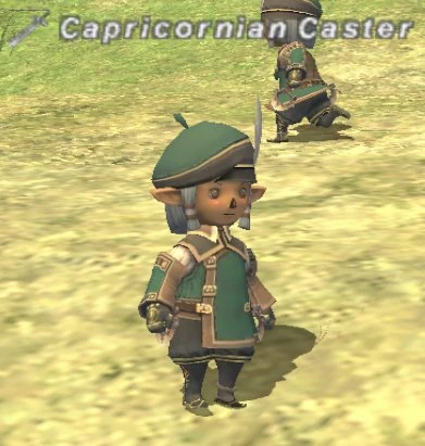 Capricornian Caster | FFXIclopedia | Fandom