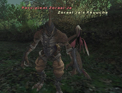 Percipient Zoraal Ja | FFXIclopedia | Fandom