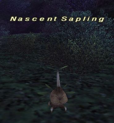 Nascent Sapling | FFXIclopedia | Fandom
