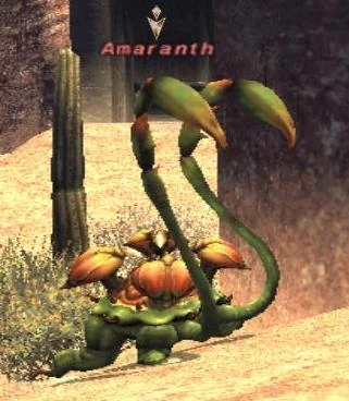 Amaranth | FFXIclopedia | Fandom