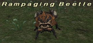 Rampaging Beetle | FFXIclopedia | Fandom