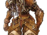 Category:Races | Final Fantasy XII Wiki | Fandom