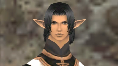 Elvaan Male | FFXILevelDown Wiki | Fandom