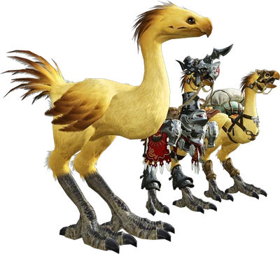 Chocobo | FFXIV German Lore Wiki | Fandom
