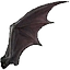 Bat Wing - Final Fantasy XIV: A Realm Reborn (FFXIV) Wiki
