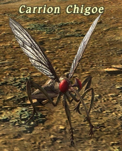 Carrion Chigoe - Final Fantasy XIV: A Realm Reborn (FFXIV) Wiki